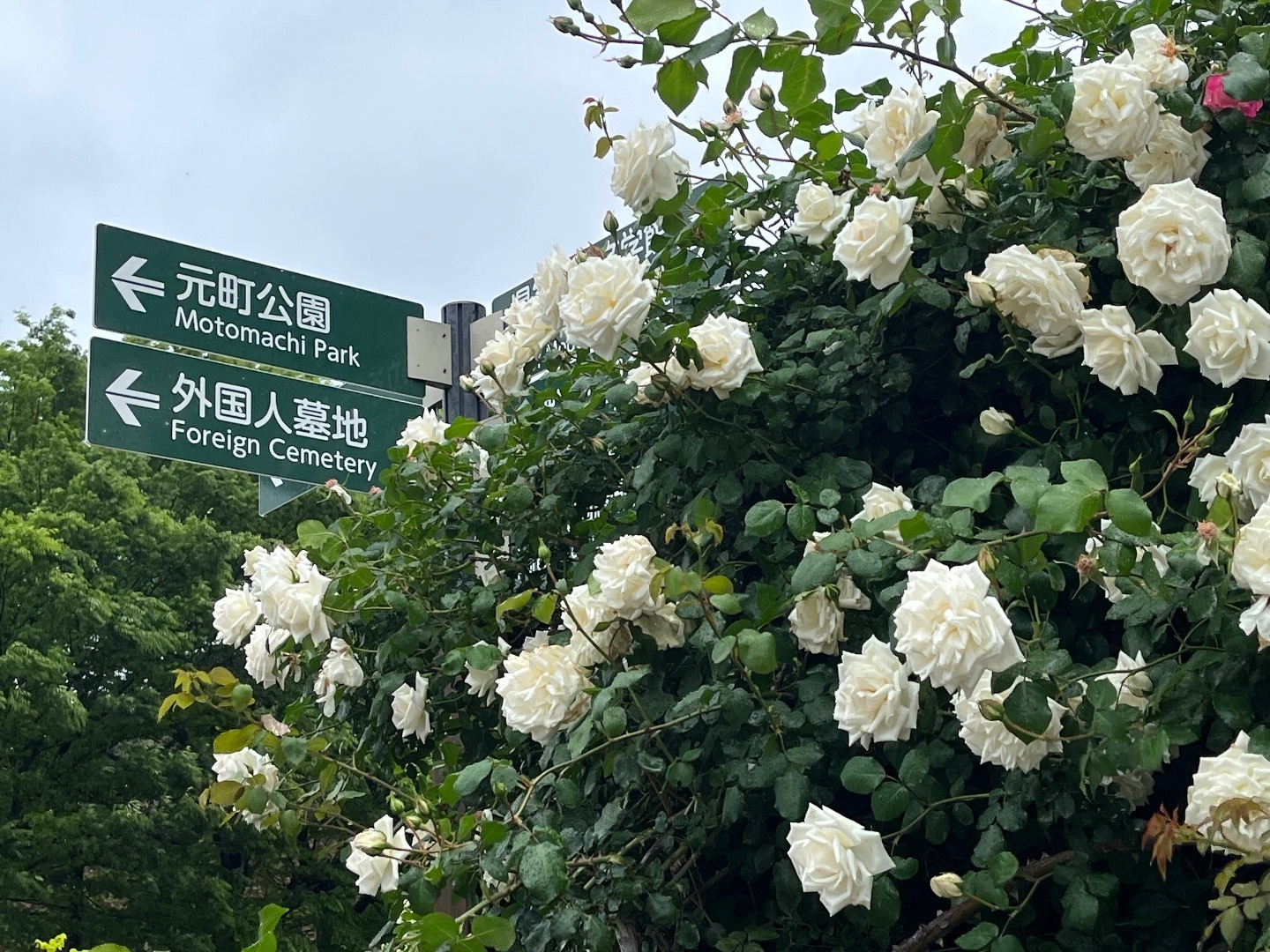 第31回チャーチル会横浜絵画展: 中西繁アート・トーク